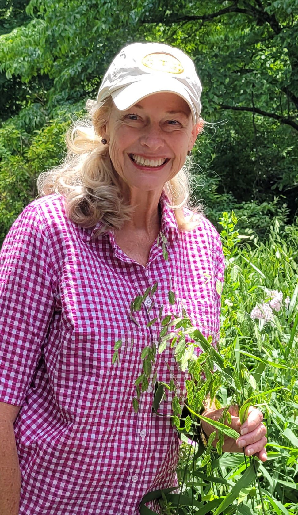 Gardening with Gayle: Attracting songbirds to your garden | Opinion ...