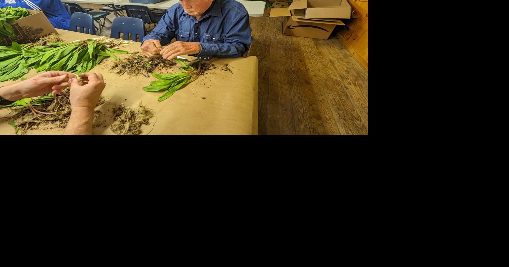 Polk County Ramp Tramp Festival to celebrate 66 years | News ...