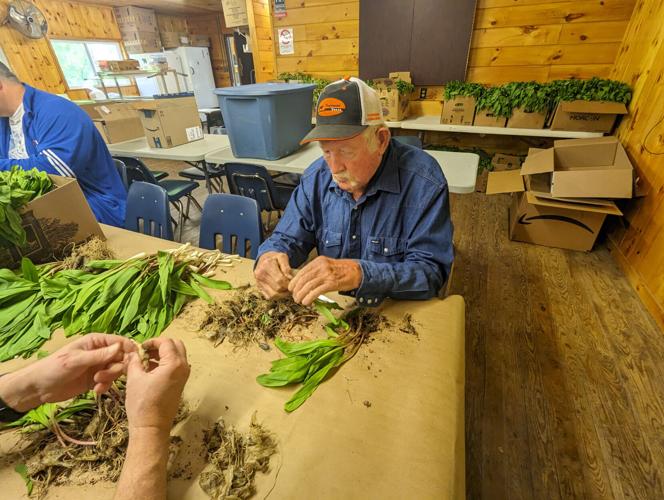 Polk County Ramp Tramp Festival to celebrate 66 years | News ...