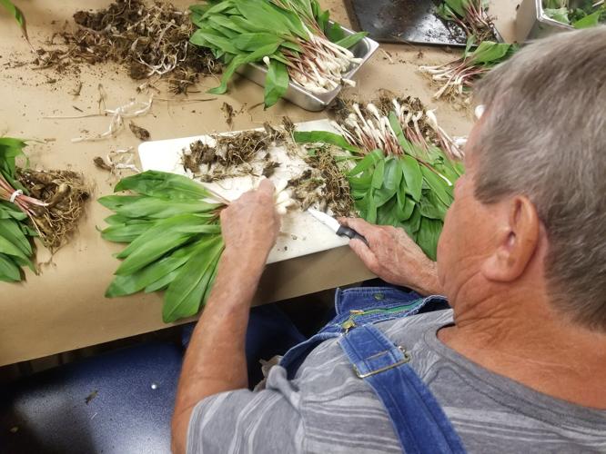 Polk County Ramp Tramp Festival to celebrate 65 years | News ...