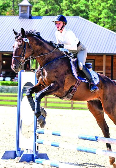 Riddle, Sister Chloe competing in Retired Racehorse Project | News ...