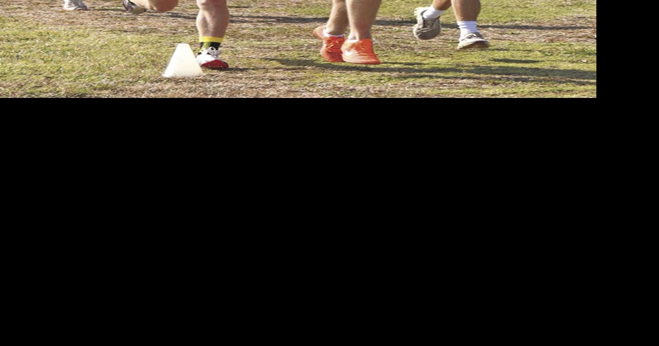 McMinn County trio, CLA's Samuel Larson run to state cross country meet ...