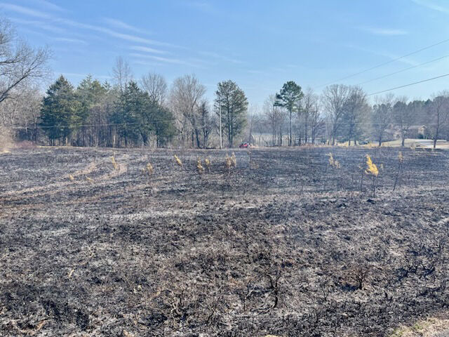 Brush fire spreads, burns about 12 acres | News | dailypostathenian.com