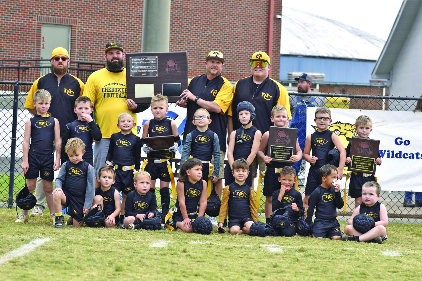 McMinn Super Crickets win SYC championship | Sports | dailypostathenian.com