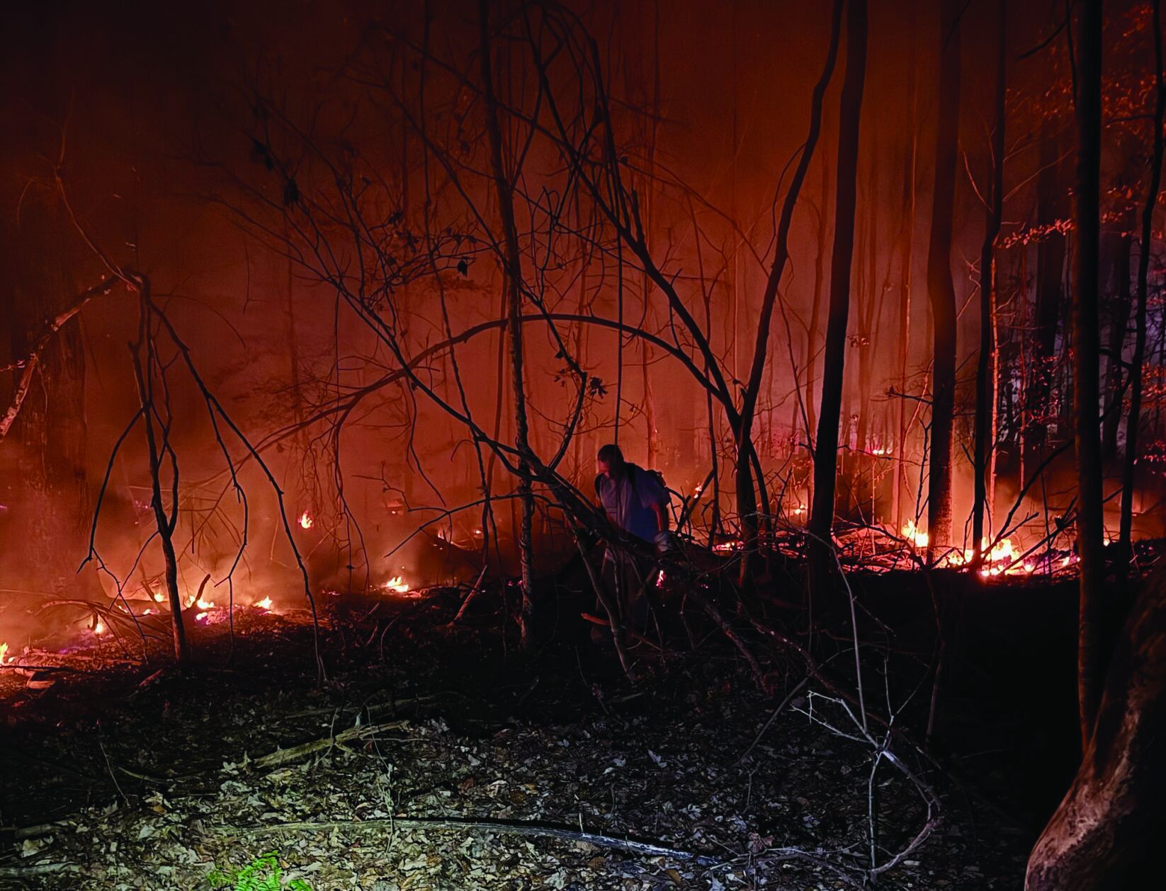 Woods fire spreads to neighboring property | News | dailypostathenian.com