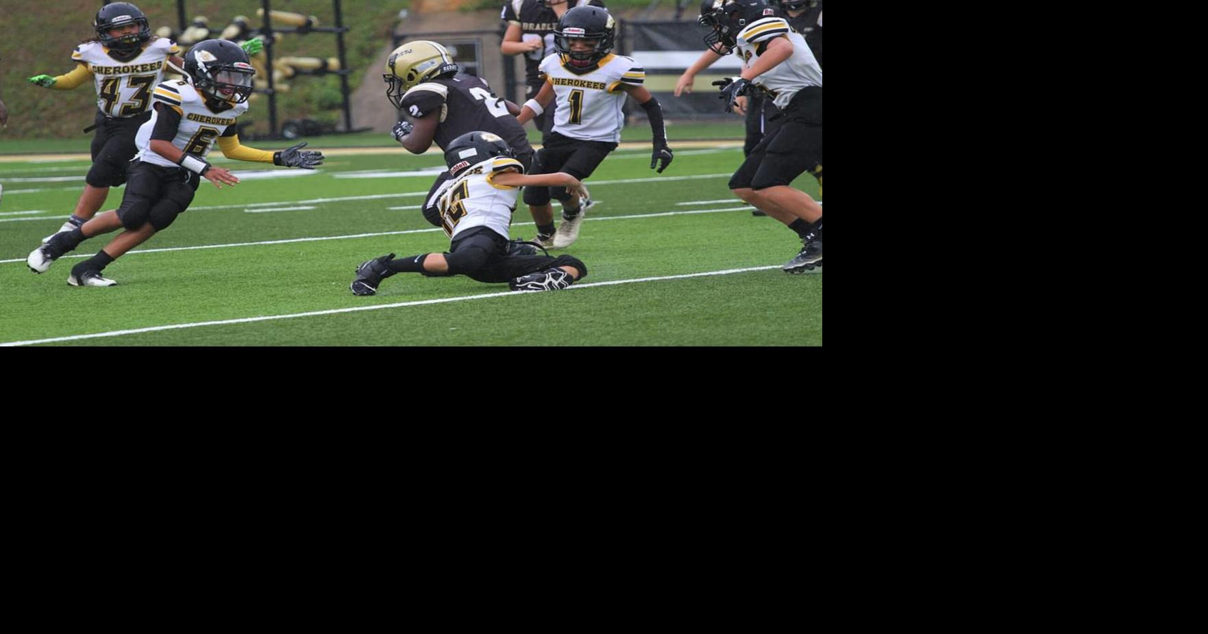 McMinn swept at Bradley in Week 5; Central, Meigs go 2-2 | Sports ...