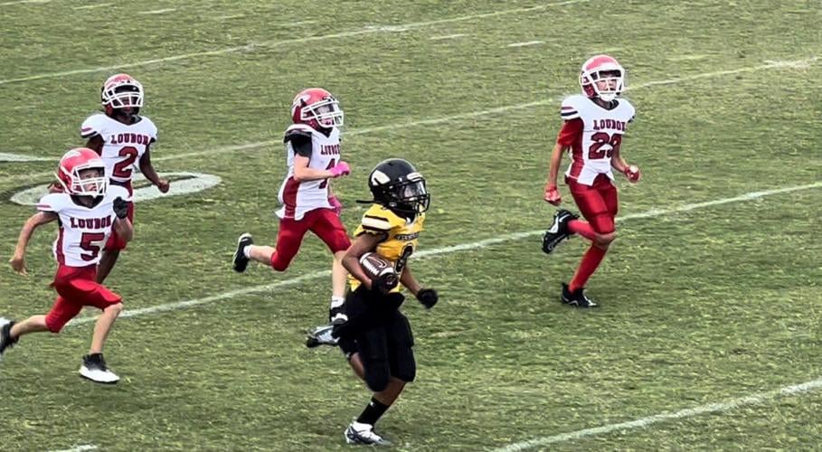 McMinn, Meigs split, Central swept in Week 2 of youth football | Sports ...