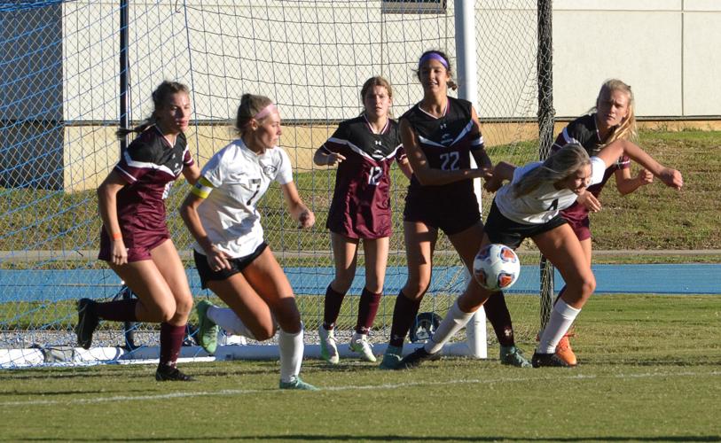 Lady Cherokees competitive in state tourney loss to Collierville ...