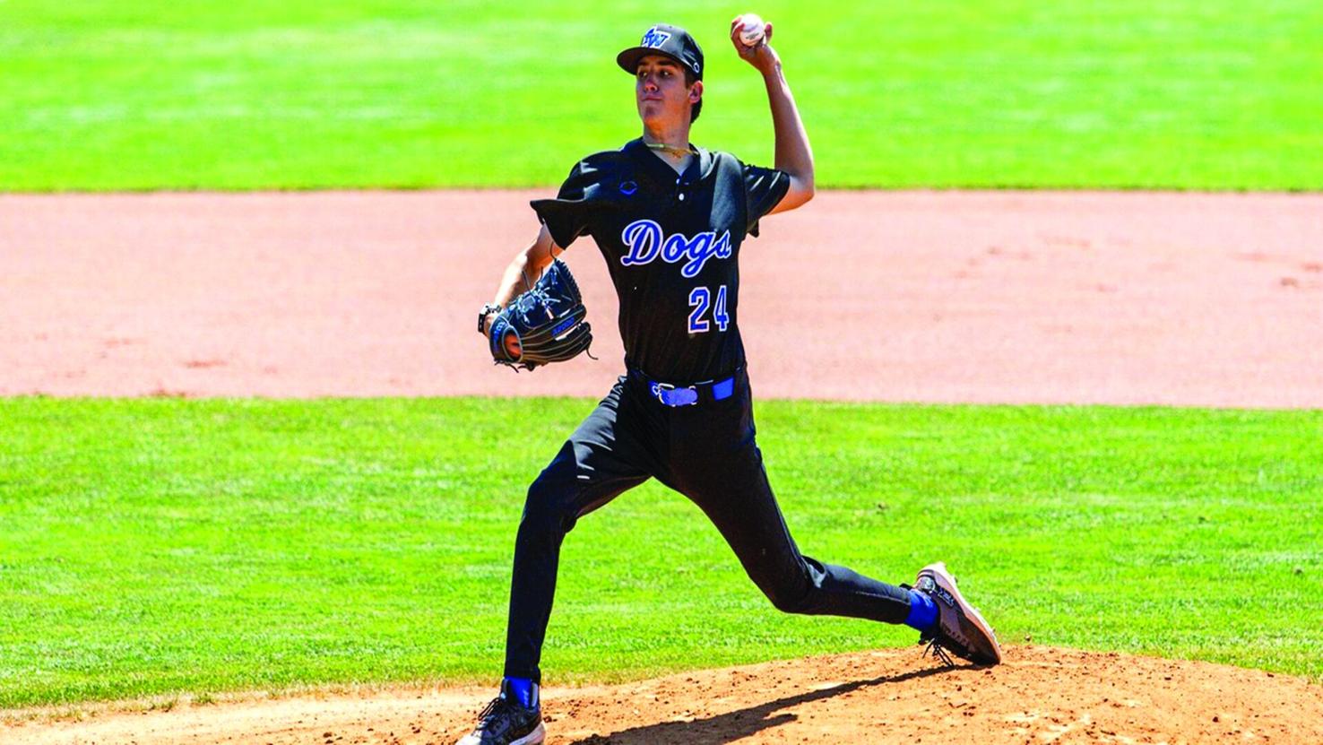 Tennessee Wesleyan clinches top-three NAIA World Series finish | Sports ...