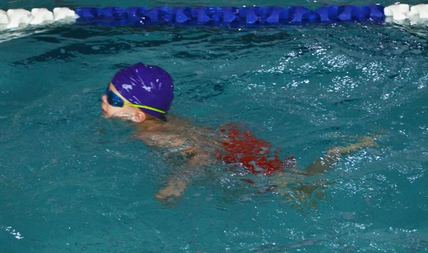 Dolphins claim team championship in Summer Swim League | Sports ...
