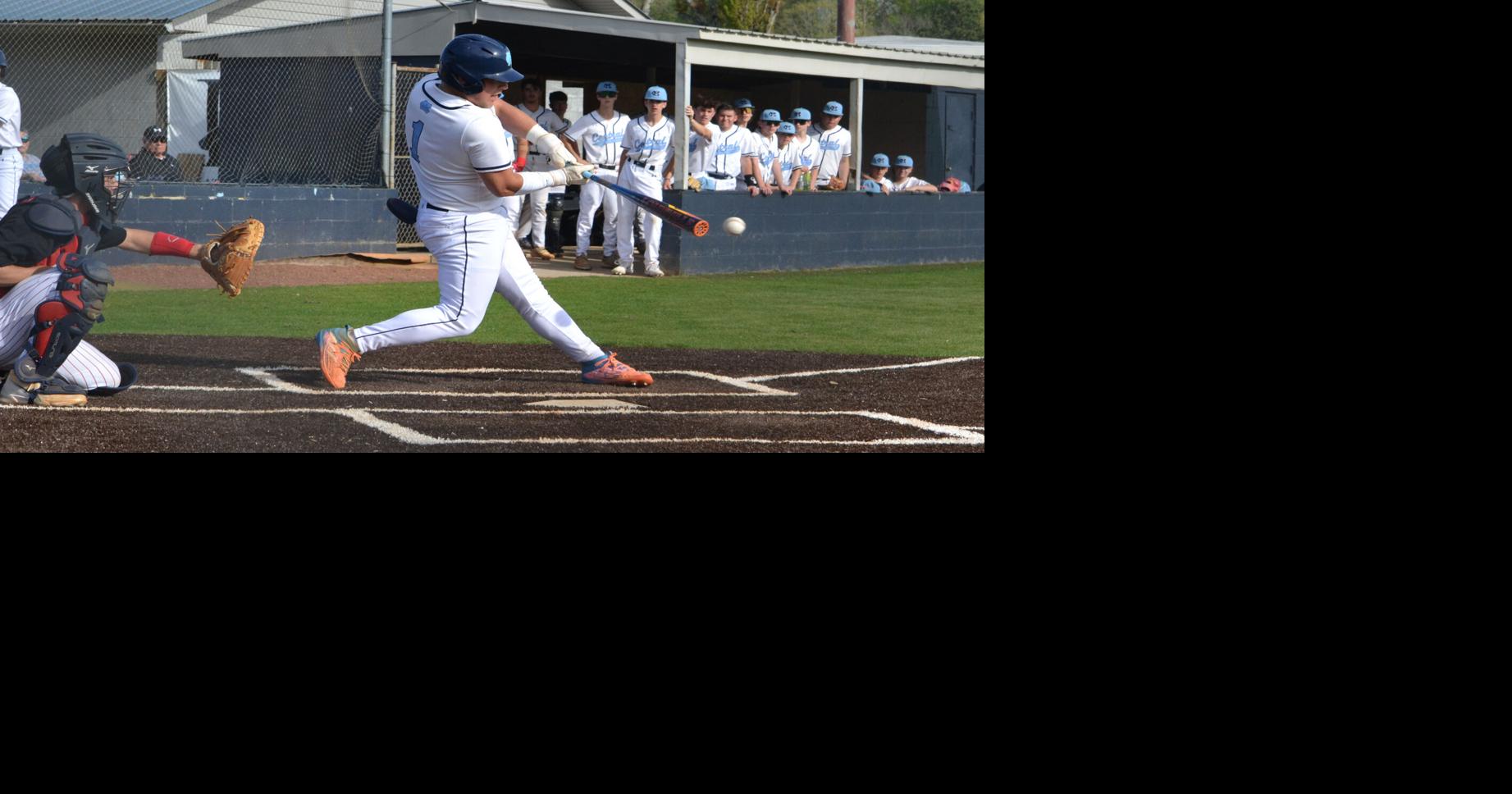 McMinn Central's Ayden Plemons to continue baseball career at Roane ...