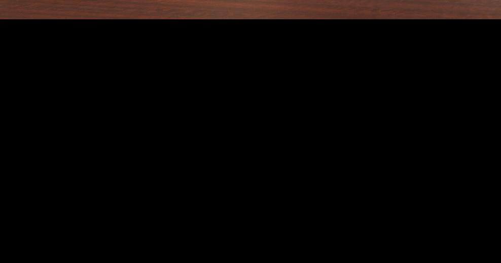 Spotlight on Rhonda Sarshuri - Special ed is her calling & dream ...