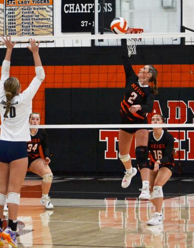 Lady Tigers' volleyball season ends against Soddy-Daisy in Region 3-AA ...