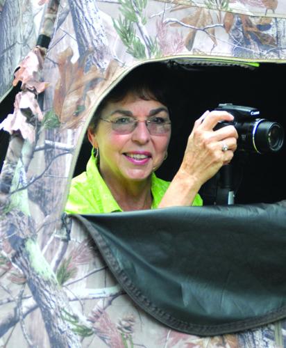 * Spotlight on Jennifer Hardison * Backyard photograph lands in TWRA ...