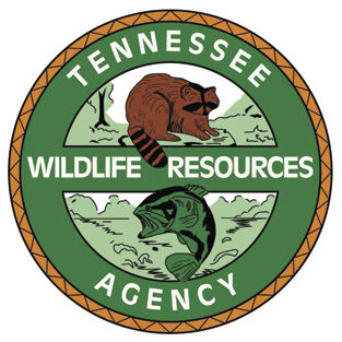 TWRA Offers Practices to Follow for Recreational Boating | Covid19 ...