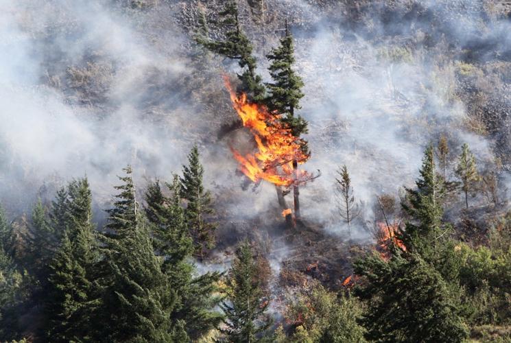 Taylor Bridge Fire crews focus on north perimeter | Top Story ...