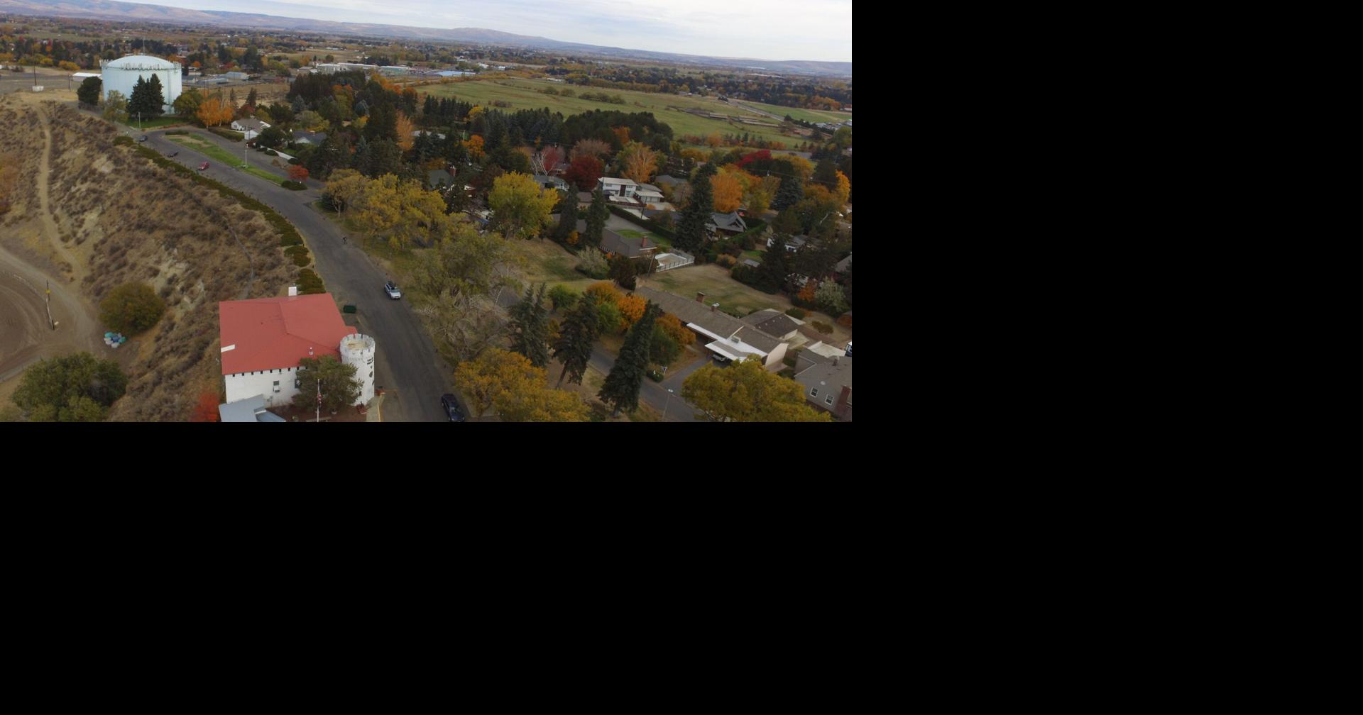 Reed Park overhaul put on hold due to community outcry | Business ...