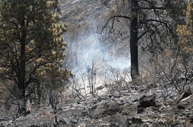 Snag Canyon Fire Aug. 8 | Photo Gallery | dailyrecordnews.com