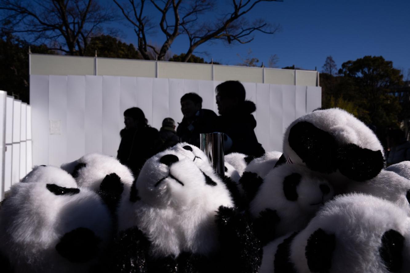 Japan China Pandas | International | dailyrecordnews.com