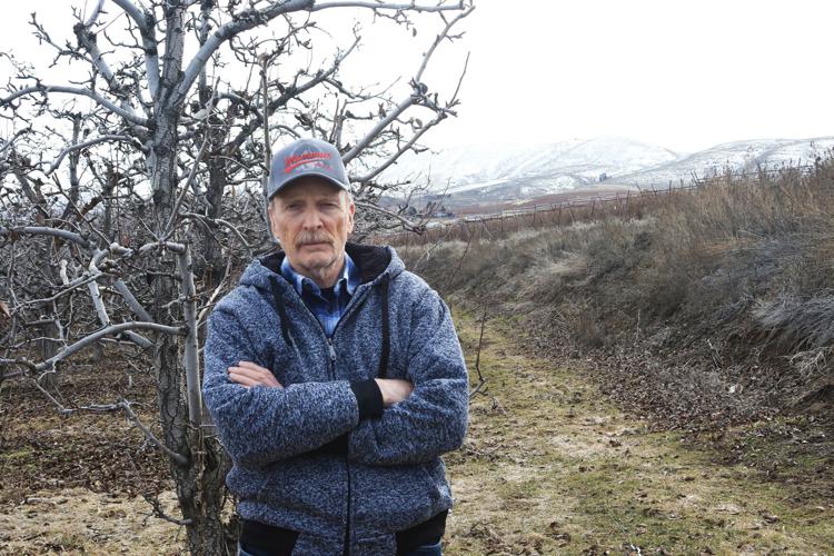 Decades of dedication — The roots run deep at Sundance Orchards and the ...