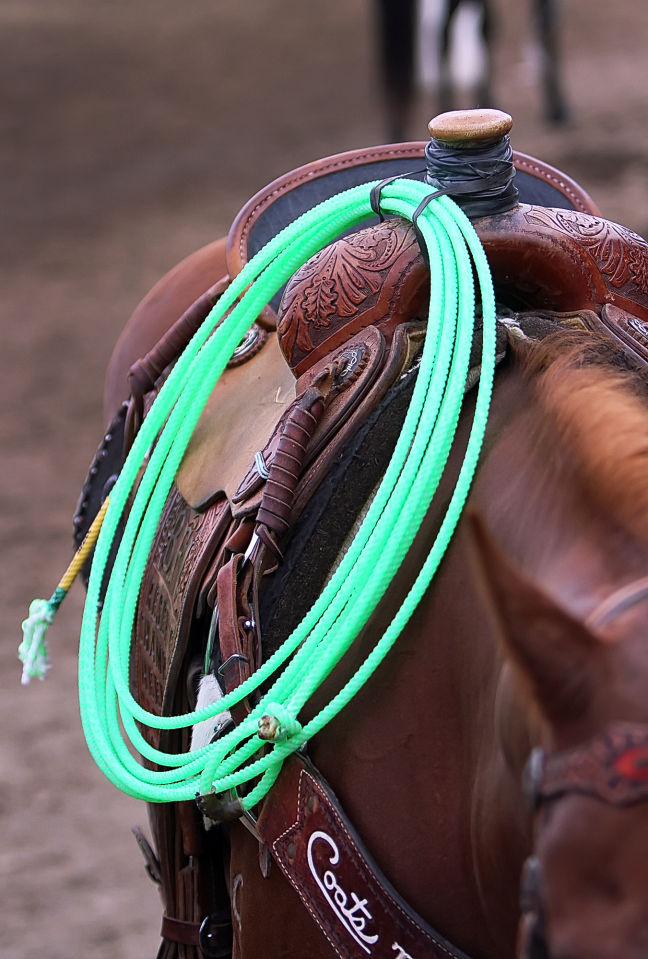 The sport of rodeo has evolved over the years | Members ...