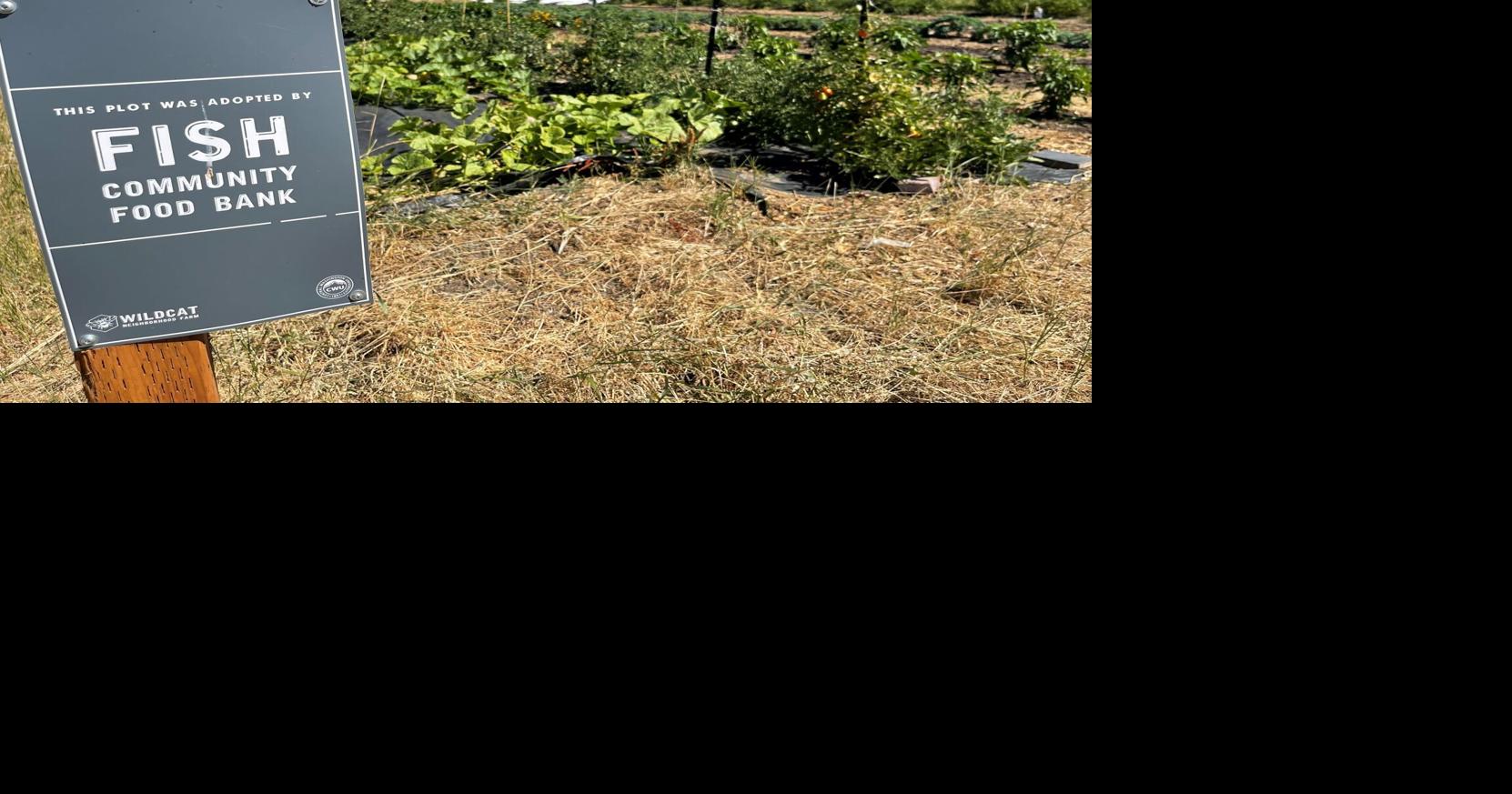 FISH Community Food Bank brings locally-grown produce into program ...