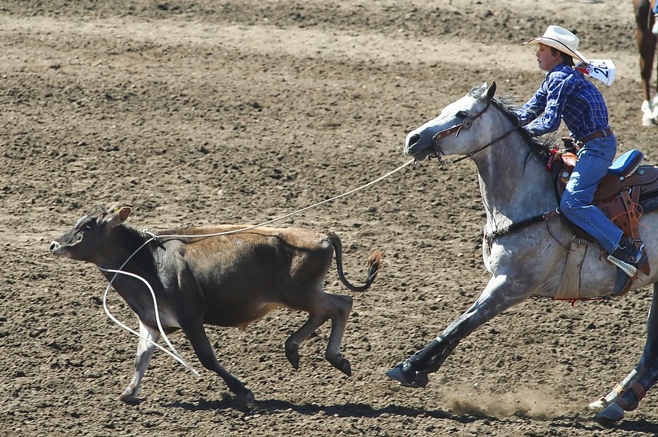 Jr. Rodeo | Photo Gallery | dailyrecordnews.com