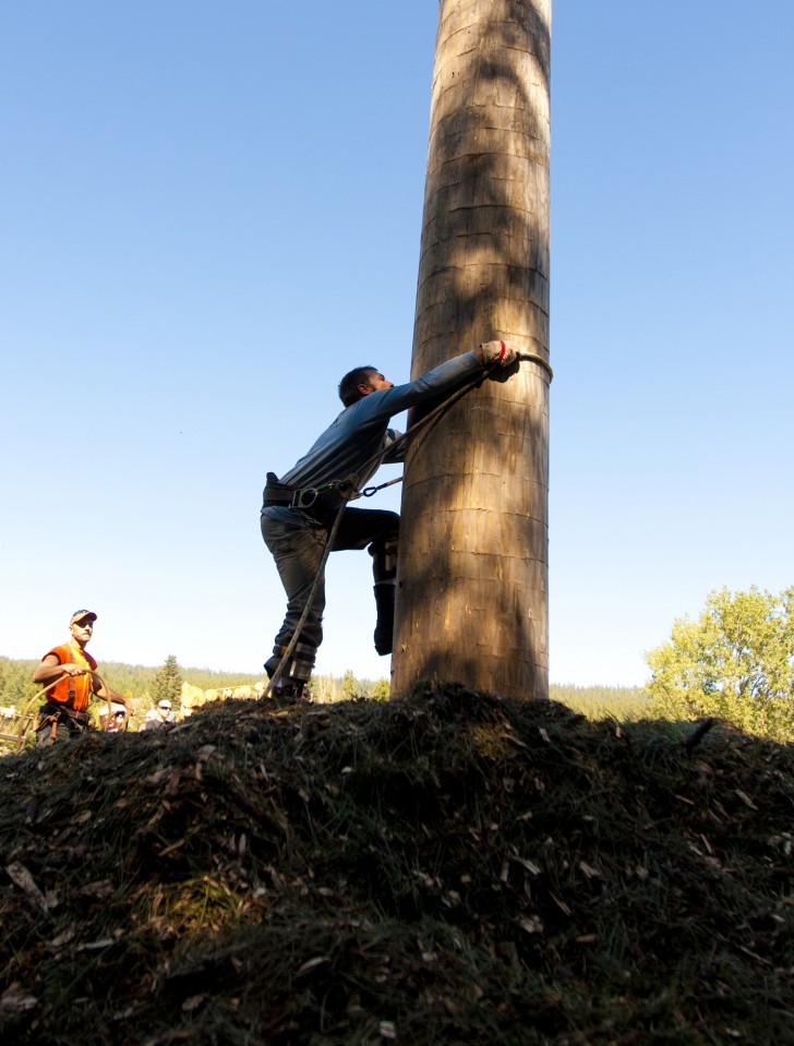 Crowd fills Roslyn park for logging competition | News ...