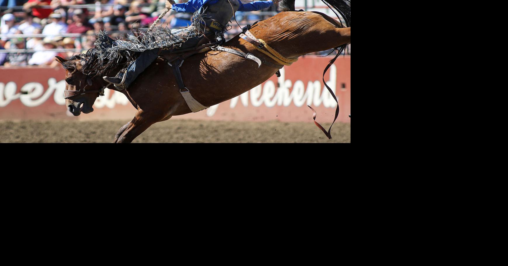 64th Wrangler National Finals Rodeo showcases its star power ...
