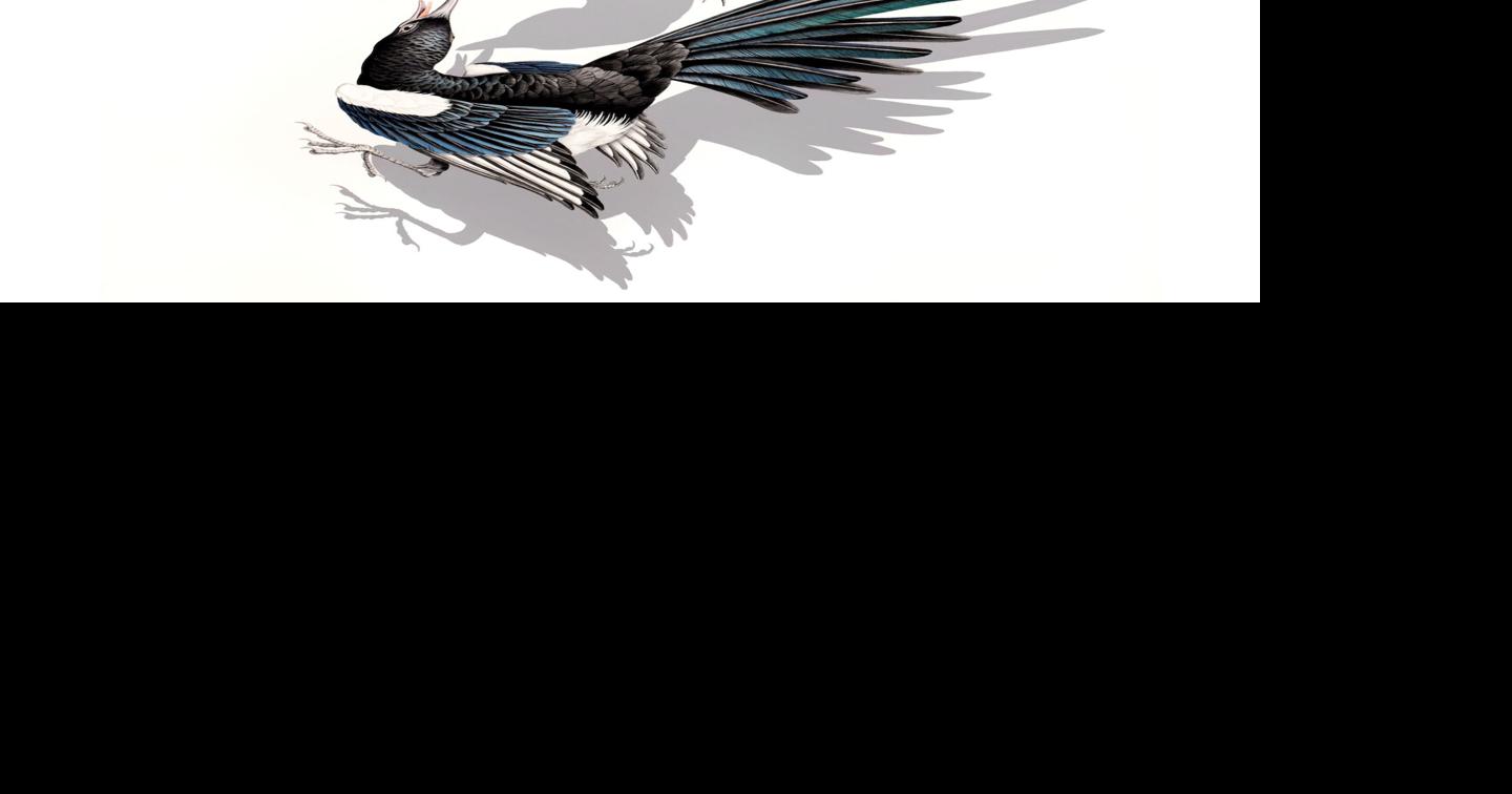 Thorp gallery artists to exhibit bird-themed works in Ellensburg ...