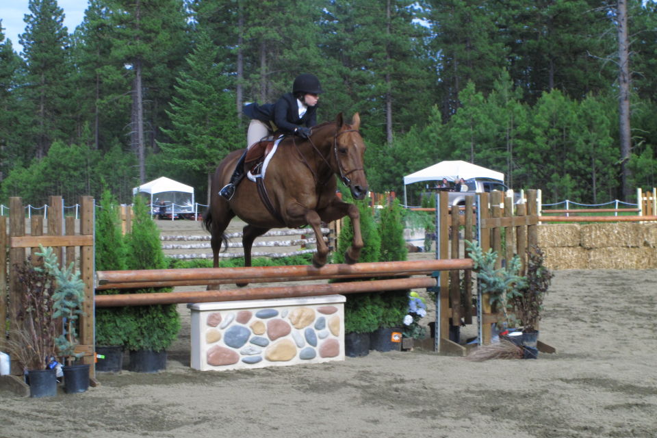 Alpine Hunter Jumper Preview | Photo Gallery | dailyrecordnews.com