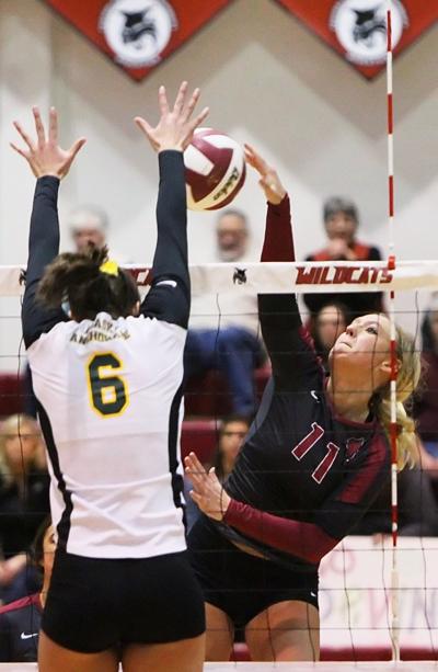 Five CWU volleyball players earn all-GNAC honors | Blogs ...