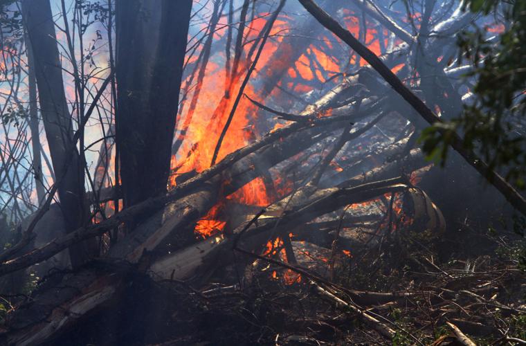 Winds push fire to the east | News | dailyrecordnews.com