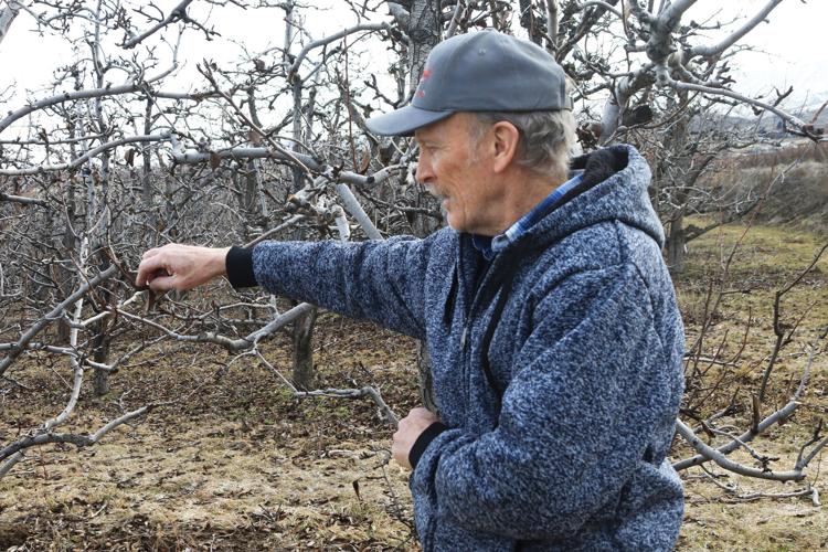 Decades of dedication — The roots run deep at Sundance Orchards and the ...