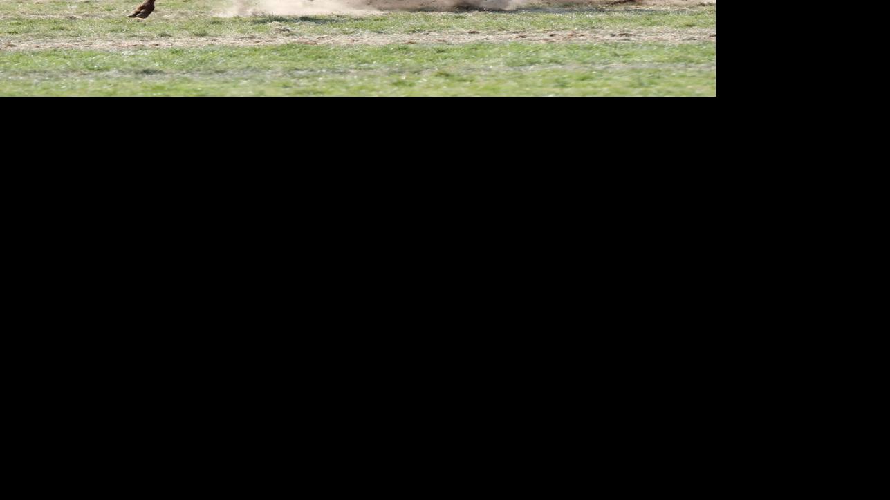 Ellensburg Rodeo | dailyrecordnews.com