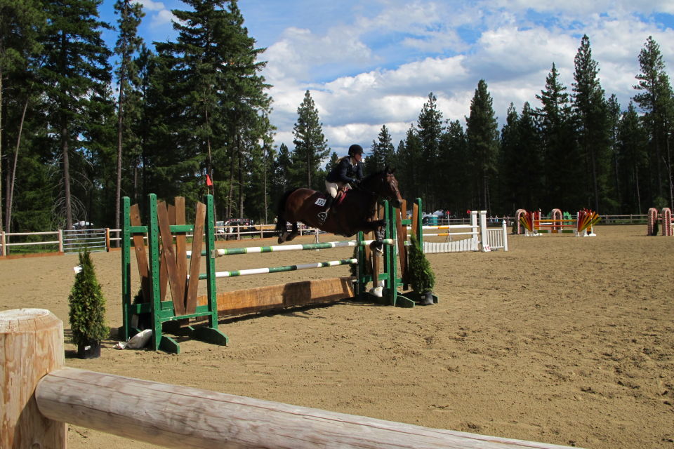 Alpine Hunter Jumper Preview | Photo Gallery | dailyrecordnews.com