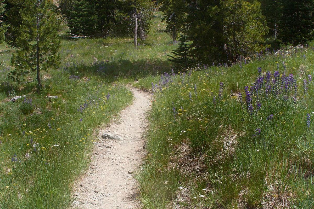 Lake Ingalls a beautiful alpine lake experience | Outdoors ...