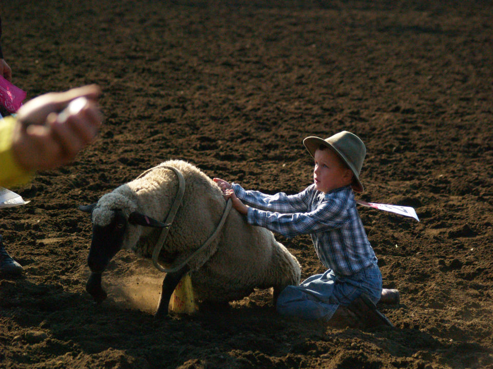 Kids take over arena at Junior Rodeo | Members | dailyrecordnews.com
