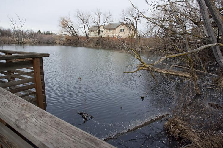 Engelhorn Pond used for education, research, habitat | News ...