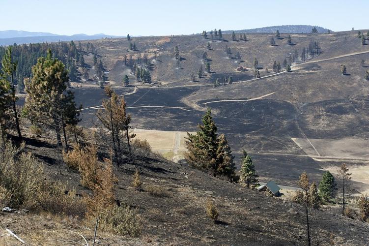 Firefighters raced against the flames | Top Story | dailyrecordnews.com