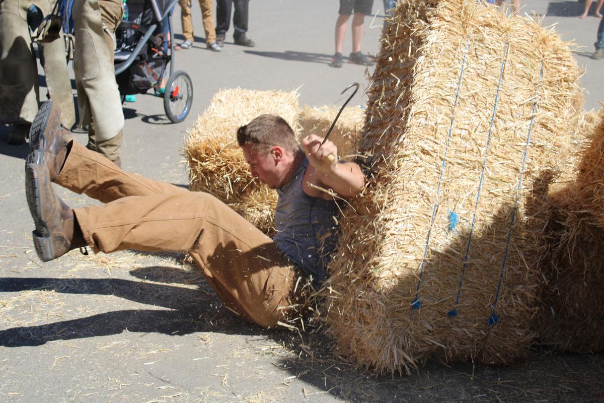 Hay flies at Kittitas County Fair bucking contest | News ...