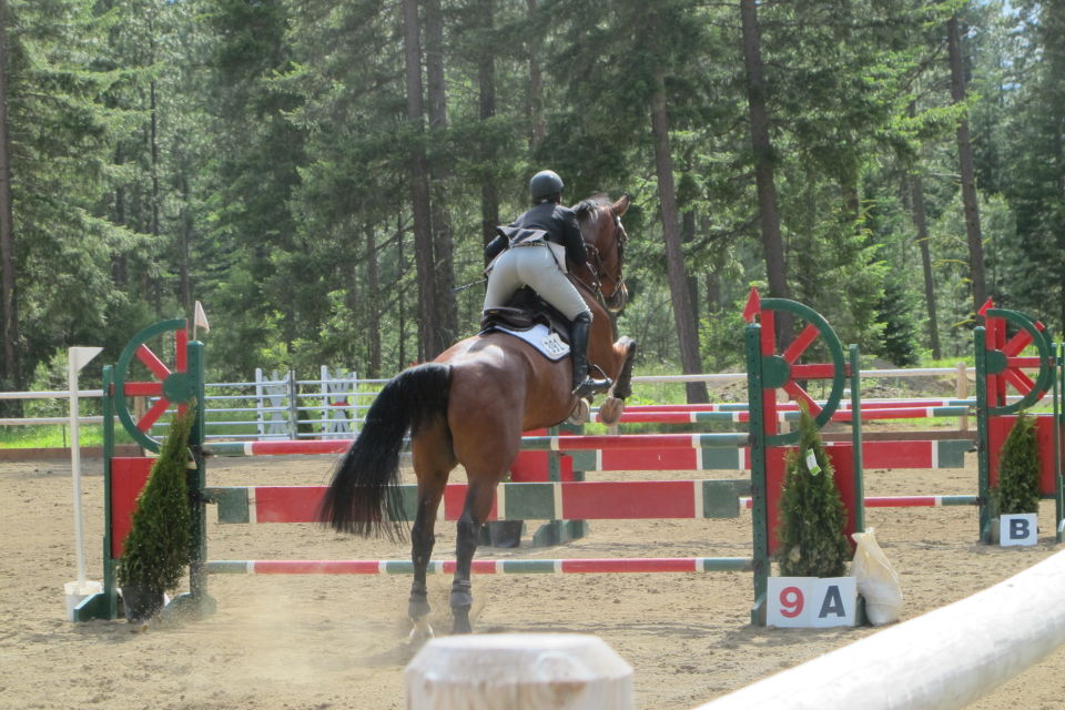 Alpine Hunter Jumper Preview | Photo Gallery | dailyrecordnews.com