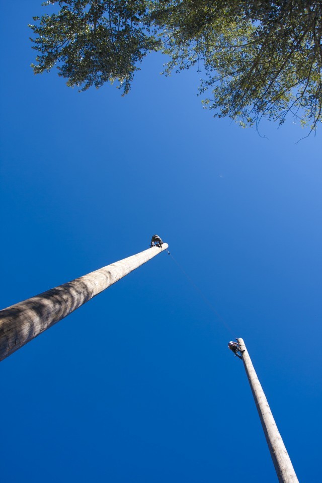 Crowd fills Roslyn park for logging competition | News ...