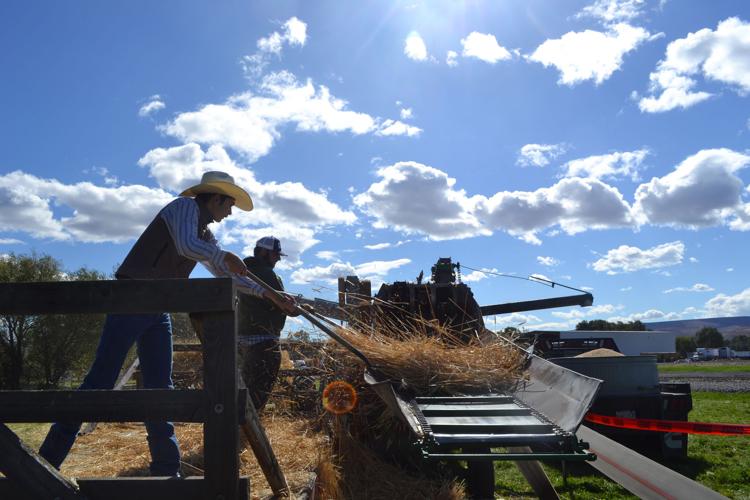 Annual Threshing Bee and antique equipment show moves to new location ...
