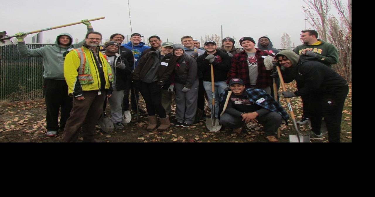 City arborist Gordon Crane set to retire at the end of November | News ...