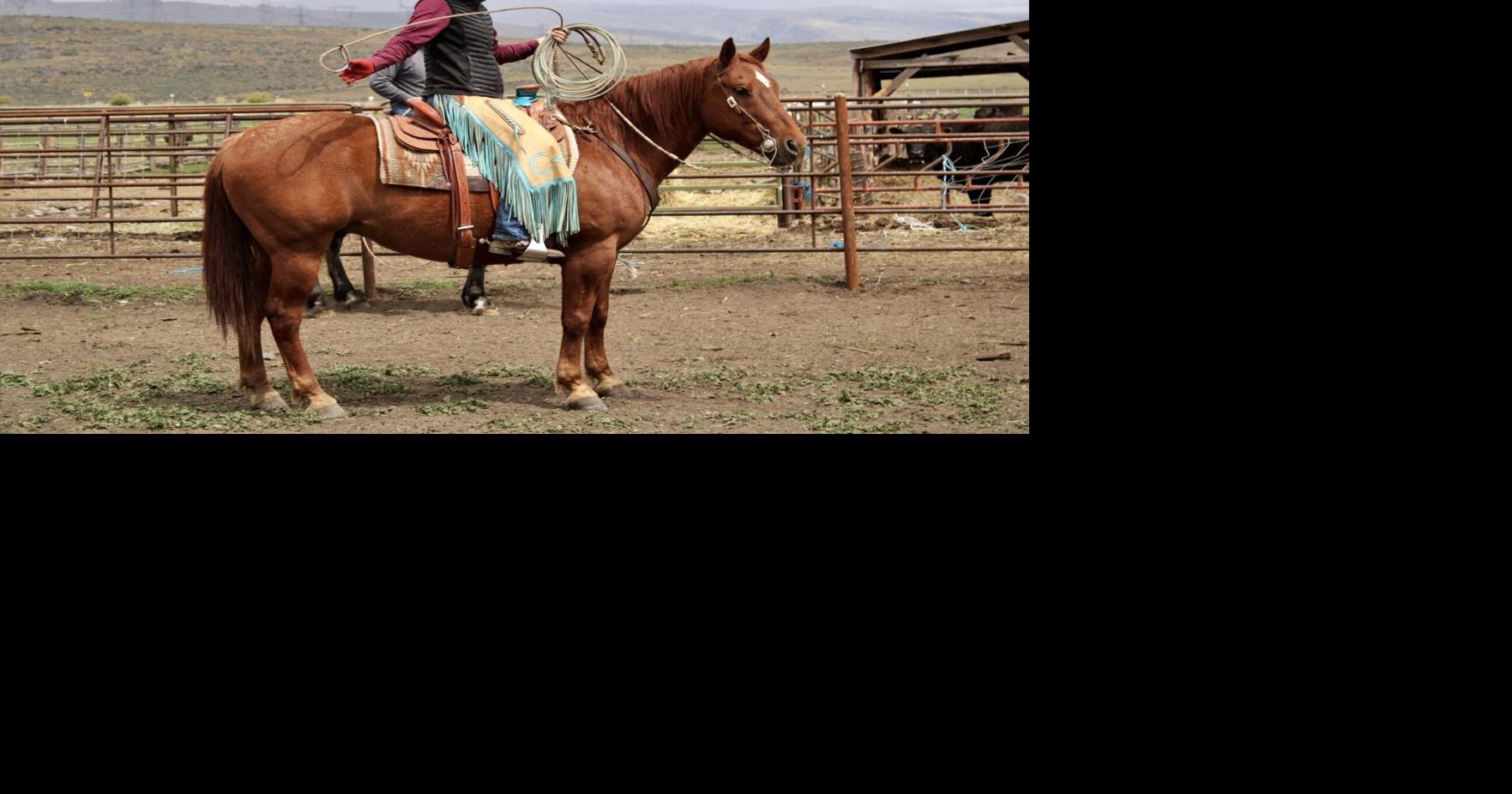 Not her first rodeo: Queen anticipates her 25th season at the famed ...