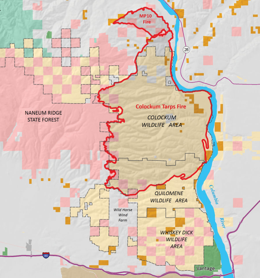 Prime wildlife habitat charred by Colockum Tarps Fire | Members ...