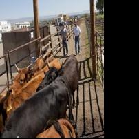 Repp family opens WestStar to cowboys and their families | Top Story ...