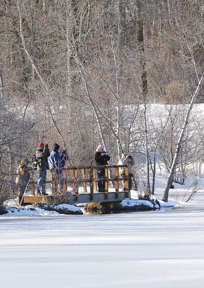 Bird Walk | Photo Gallery | dailyrecordnews.com
