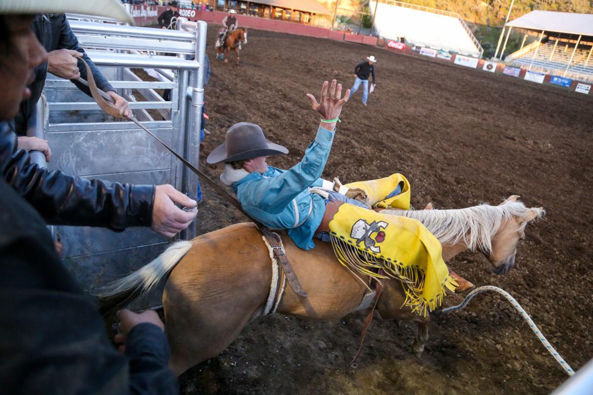 Bareback, bronc riding winnings shared | Sports | dailyrecordnews.com Bareback, bronc riding winnings shared | Sports | dailyrecordnews.com
